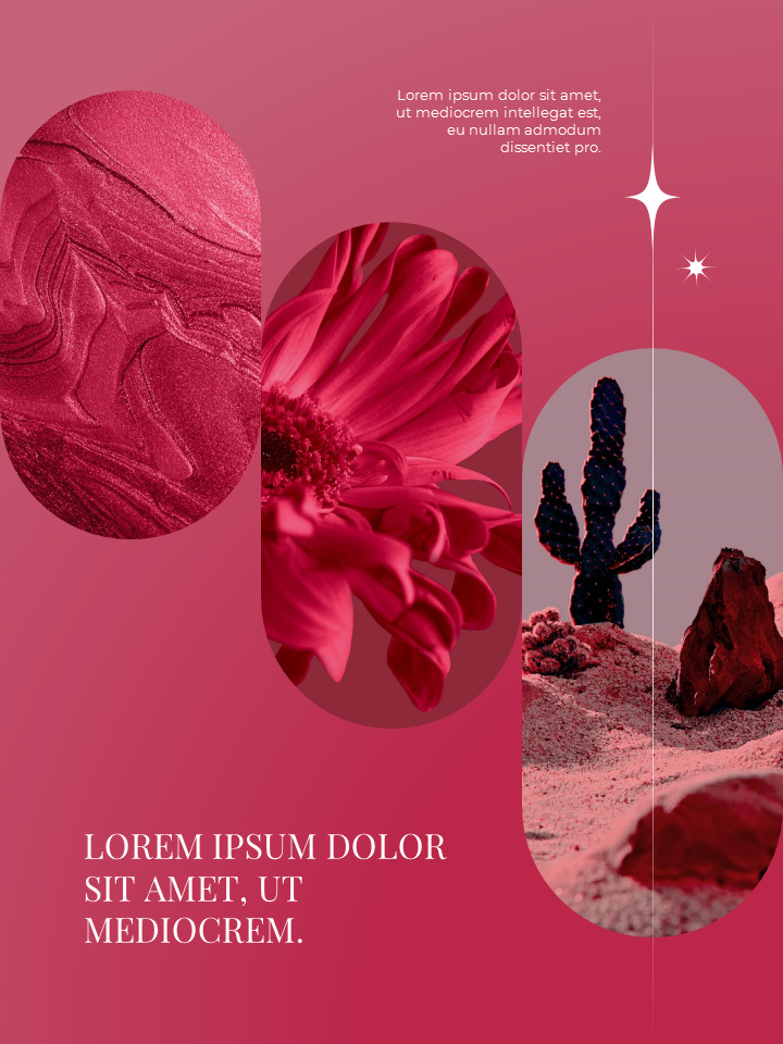 2023 Viva Magenta template ppt