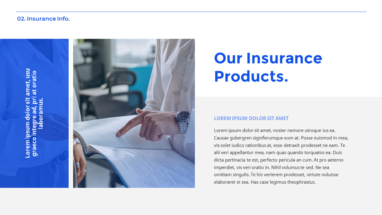 Insurance Service model ppt presentation