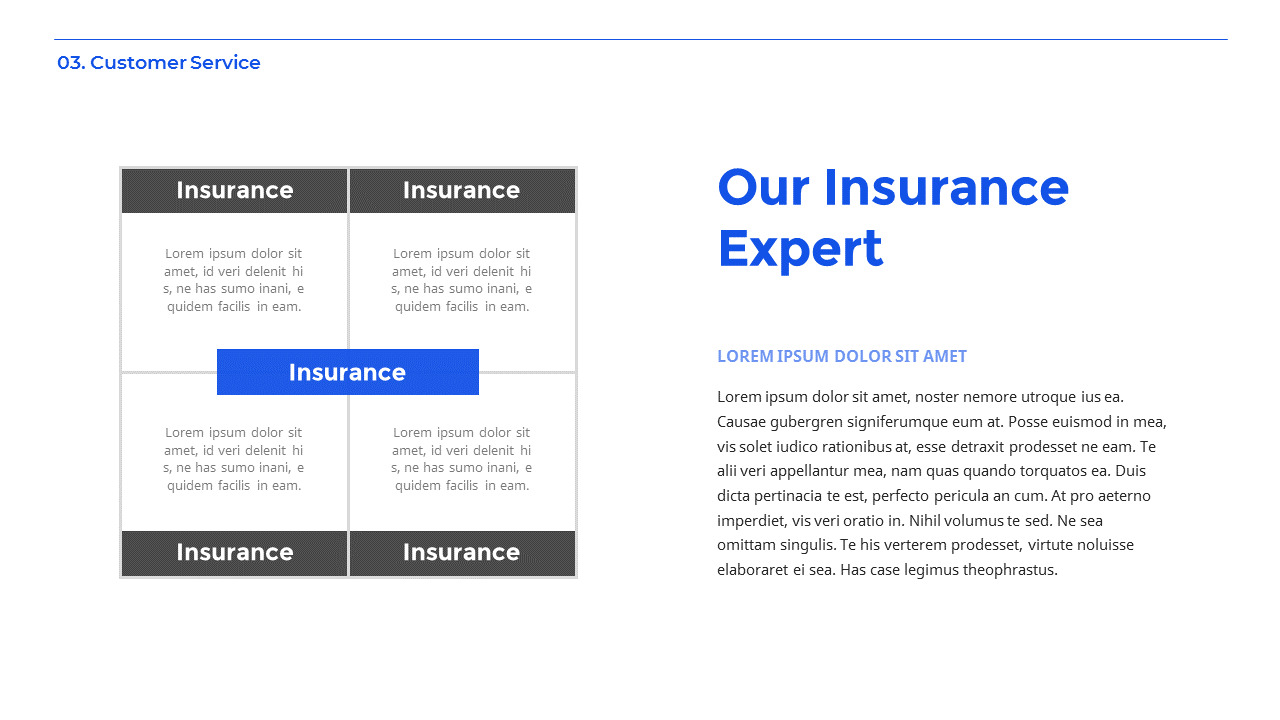 Insurance Service model ppt presentation