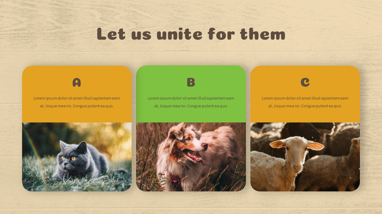 Animal Rights Movement team introduction presentation ppt