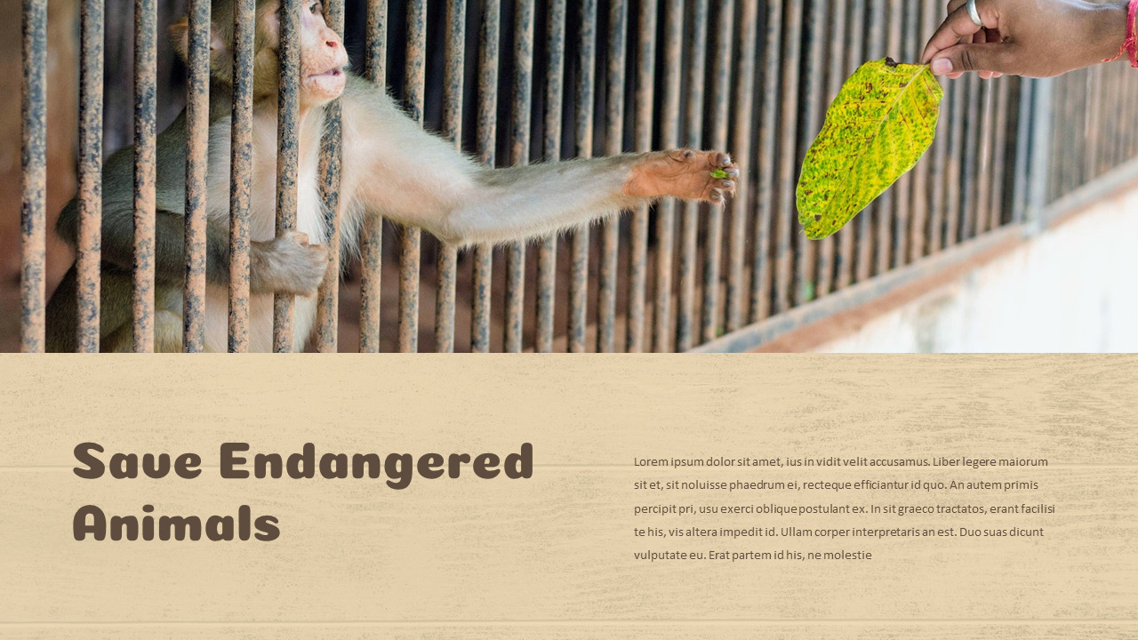 Animal Rights Movement Google PowerPoint Slides