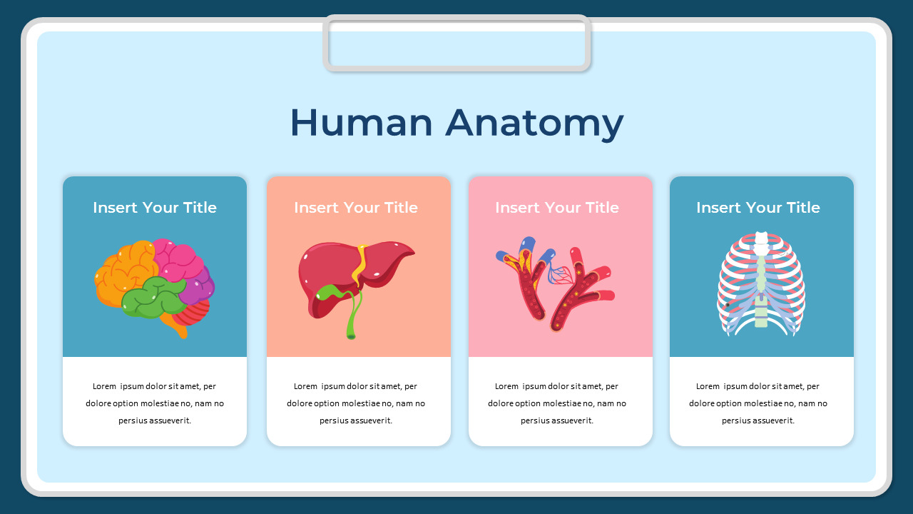 Organs In The Body powerpoint template