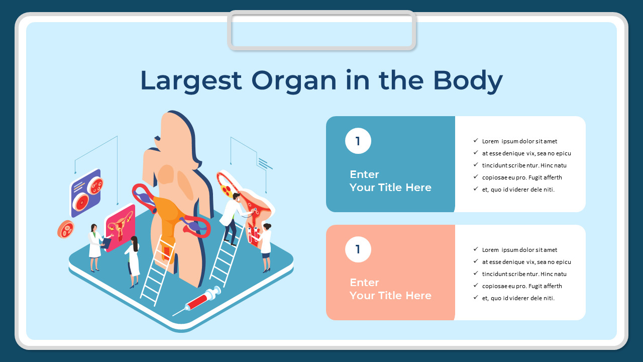Organs In The Body powerpoint template