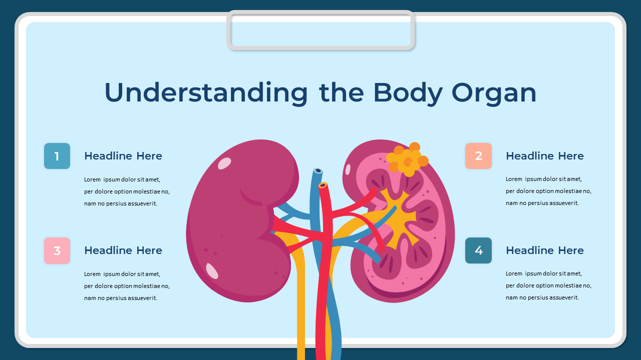 Organs In The Body powerpoint template