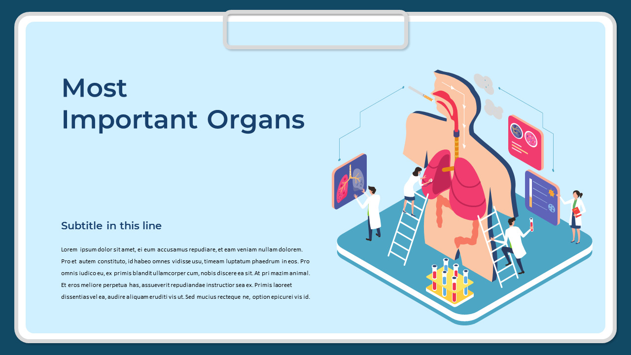 Organs In The Body powerpoint template