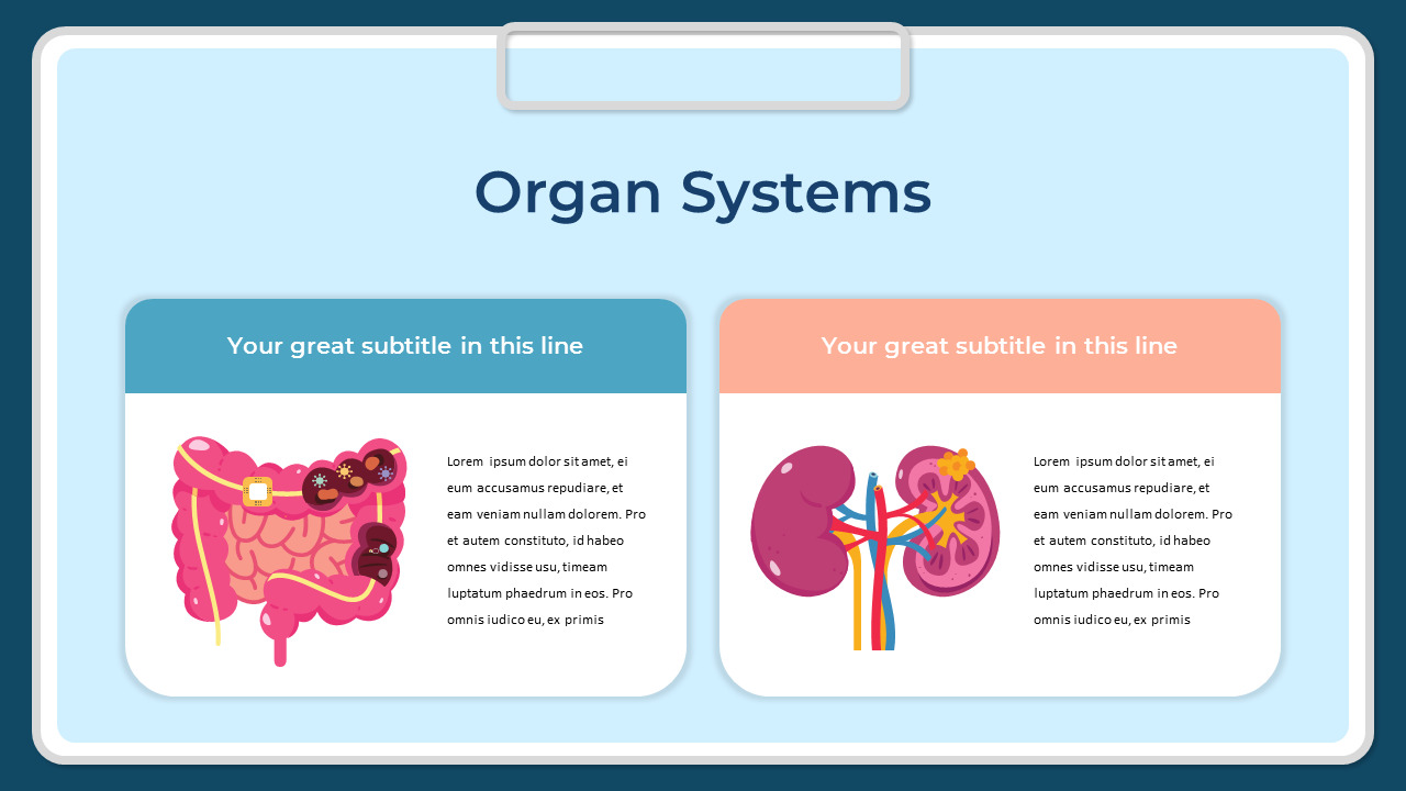 Organs In The Body powerpoint template