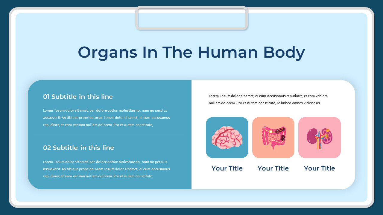 Organs In The Body powerpoint template