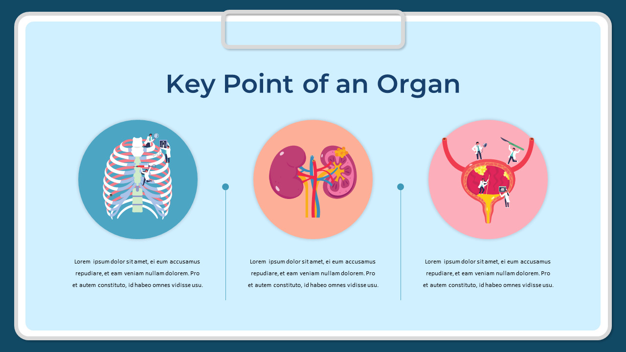 Organs In The Body powerpoint template