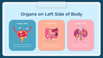 Organs In The Body Simple Google Slides Templates