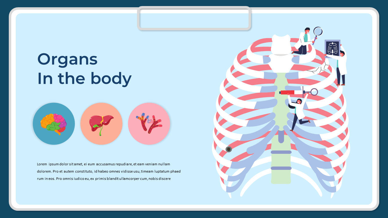 Organs In The Body Simple Google Slides Templates