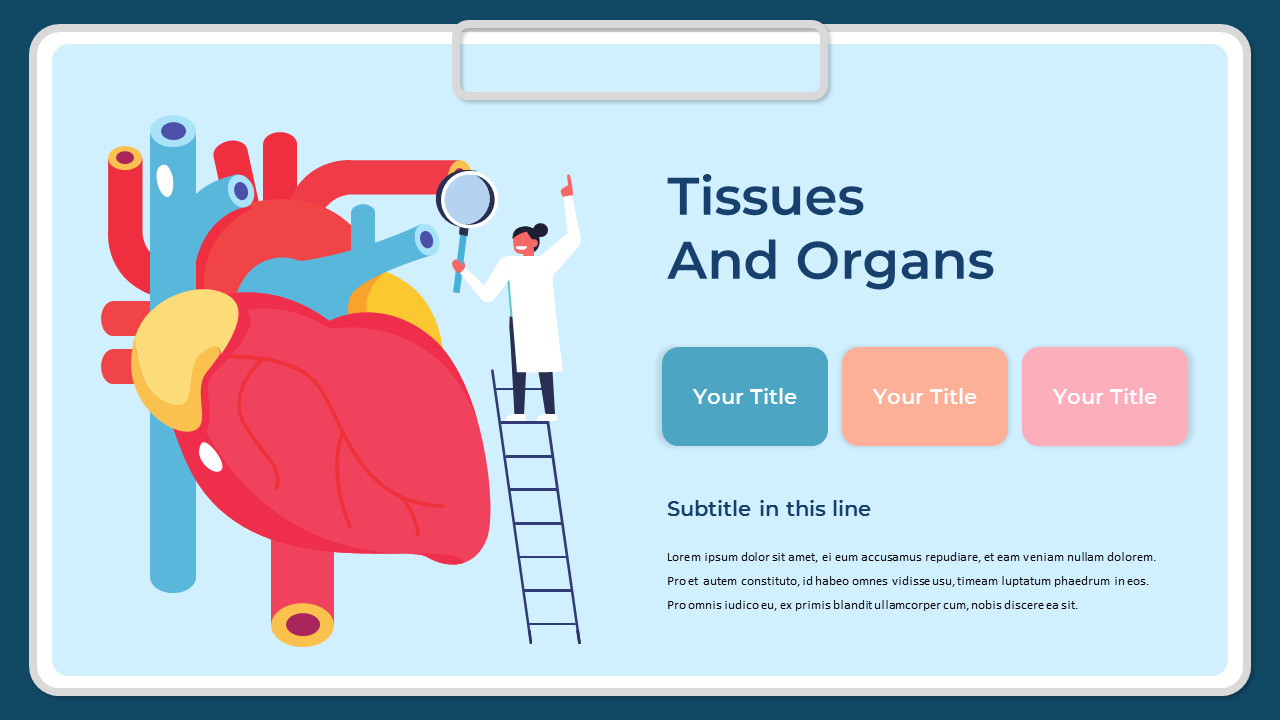 Organs In The Body Simple Google Slides Templates