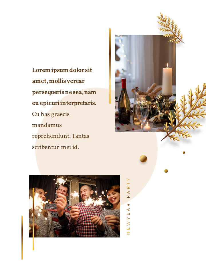 New Year Theme Design Package presentation slides ppt