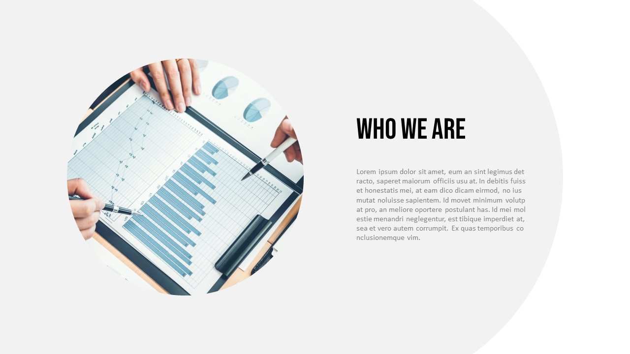 2025 Annual Review company profile ppt template