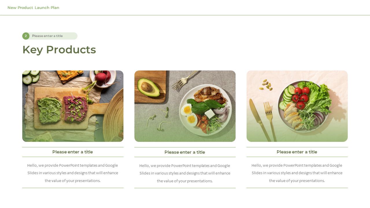 New Product Launch Plan Slide PPT