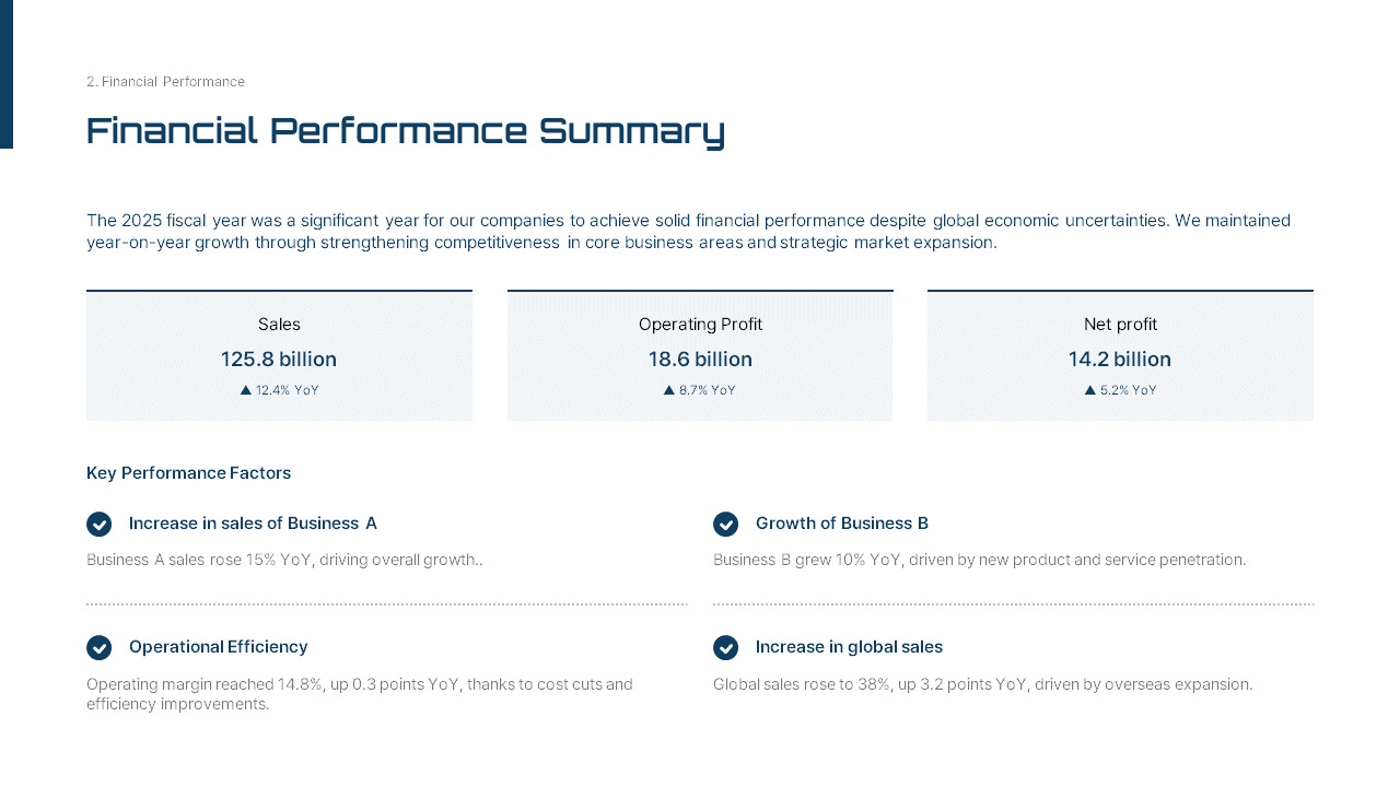 Comprehensive Annual Financial Statements Report 2025 [Financial ...