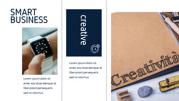 2026年商业项目 介绍PowerPoint.