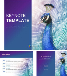Free Slides > Free Keynote, Free Chart, Free PPT Templates - Slide Members