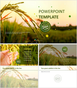 40+ rice PPT Templates - Slide Members