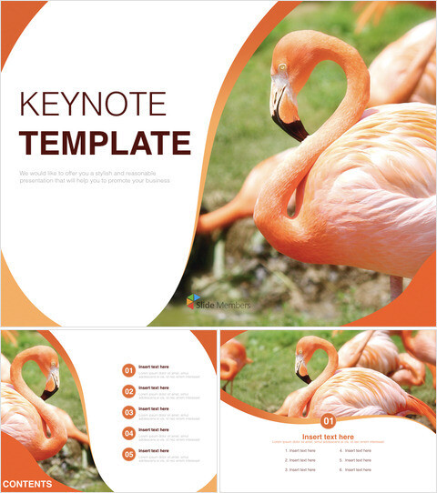 Free Slides > Free PPT Templates, Free Keynote page 39 - Slide Members