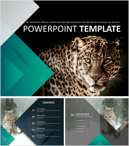 Free Slides > Free PPT Templates - Slide Members