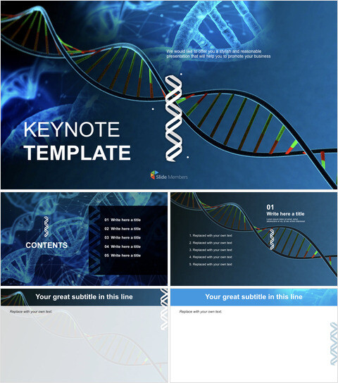 Free Slides > Free Keynote page 5 - Slide Members