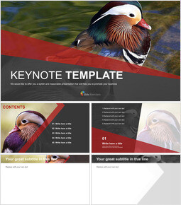 Free Slides > Free Keynote - Slide Members