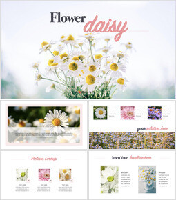 Daisy Keynote Presentation Template|Lifestyle