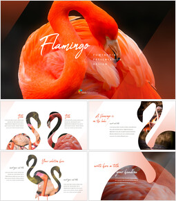 30+ wildlife PPT Templates,Google Slides - Slide Members