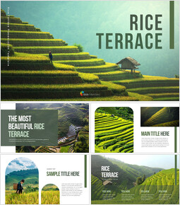40+ rice PPT Templates - Slide Members