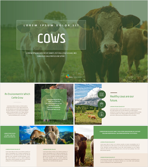 Stained Glass Simple Google Presentation|Lifestyle|Slides