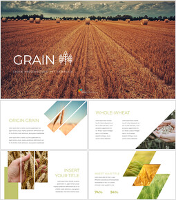 PPT Templates > Business - Slide Members