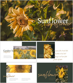 10+ sunflower PPT Templates,Google Slides - Slide Members