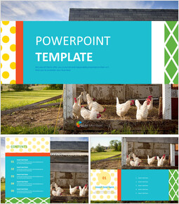 80+ poultry farm PPT Templates - Slide Members