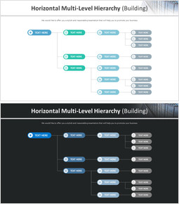 Team Organization|Hierarchy|Diagram