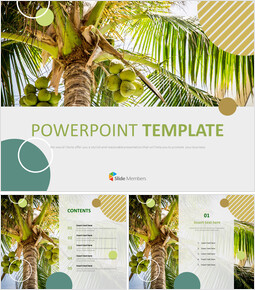 30+ palm PPT Templates - Slide Members