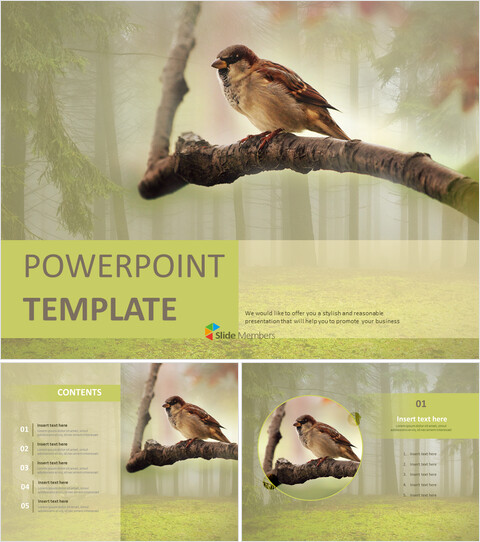 bird template powerpoint