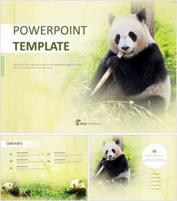 Free Slides > Free PPT Templates - Slide Members