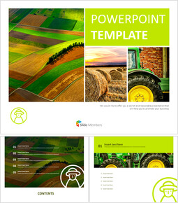 40+ rice PPT Templates - Slide Members