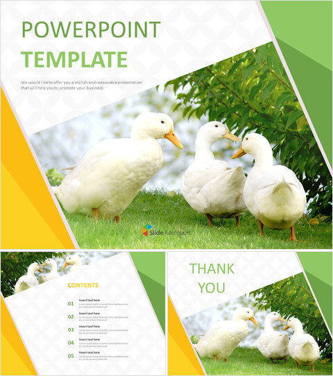 A White Duck - Free PPT Template
