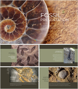 Fossil Templates PPT