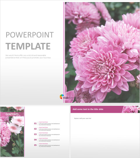 Chrysanthemum - Free Design Template