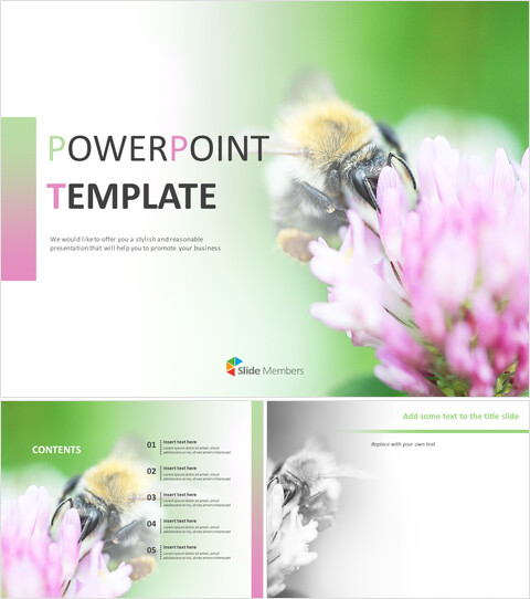 Google Slides Download Free - Colorful Spring Flowers