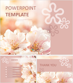 Keynote online Free - Colorful Spring Flowers|Slides